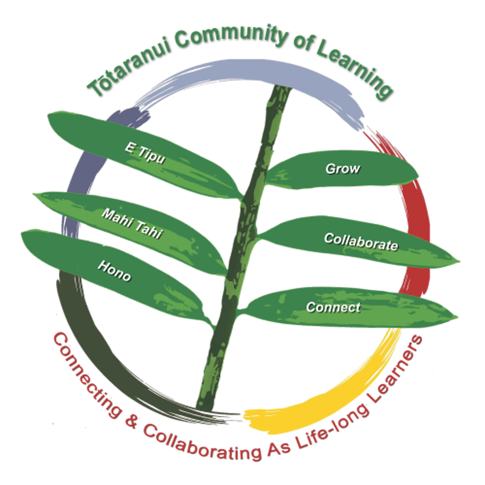 Tōtaranui Kāhui Ako – Insights into the life of a Learning Support ...